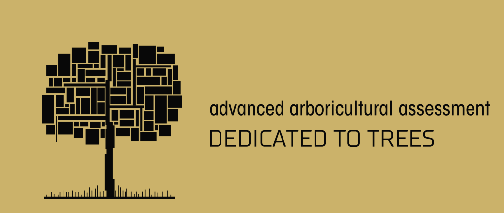 Advanced Arboricultural Assessment – Tree Risk Assessment and ...